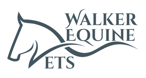 Walker Equine Vets
